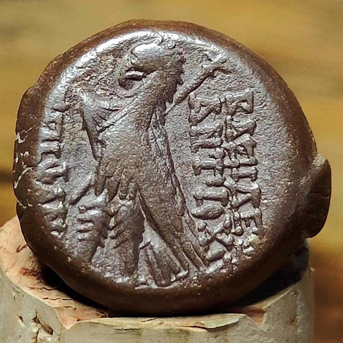Antiochus VIII Epiphanes, Seleucid Kingdom, Ancient Greek coin 121-97 ...