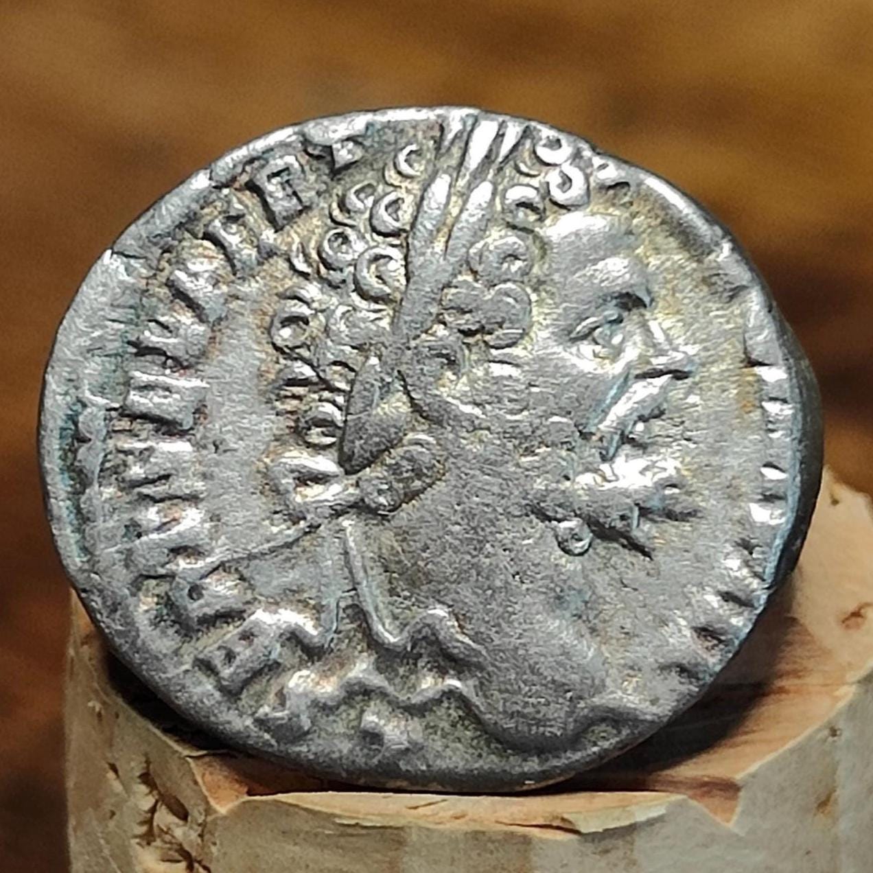 Septimius Severus with Liber reverse Silver Denarius, Ancient roman co ...